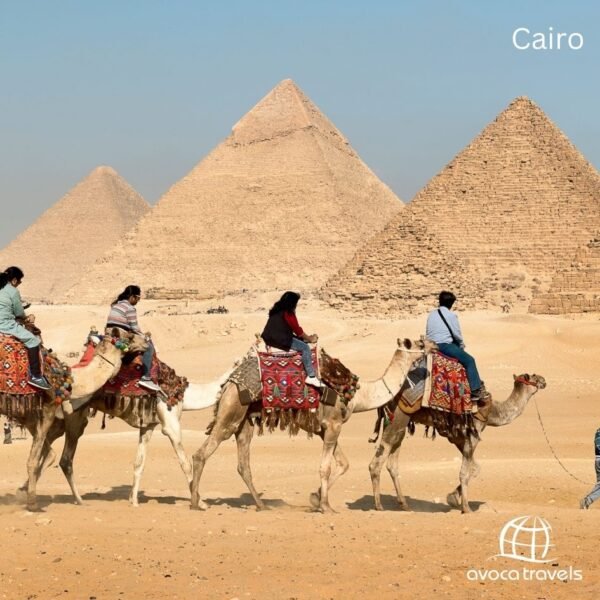 Cairo - Price Reduced for Black Friday